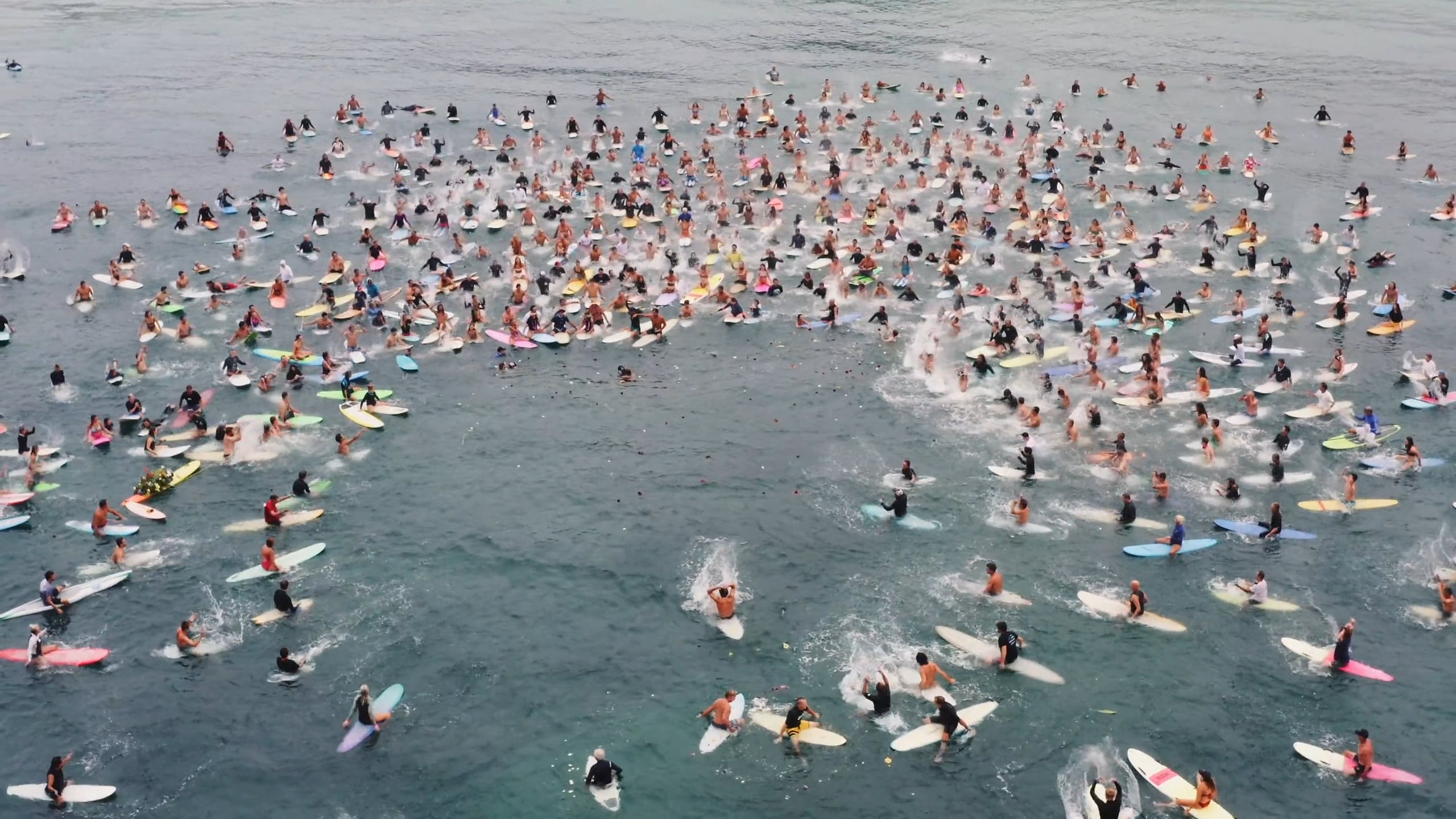 Blake Dresner - Homenagem em Encinitas | Waves