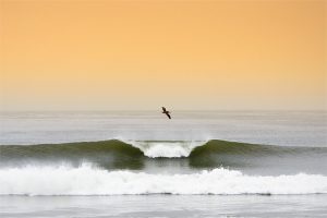 WSL Finals 2024 - Aquecimento em Trestles | Waves